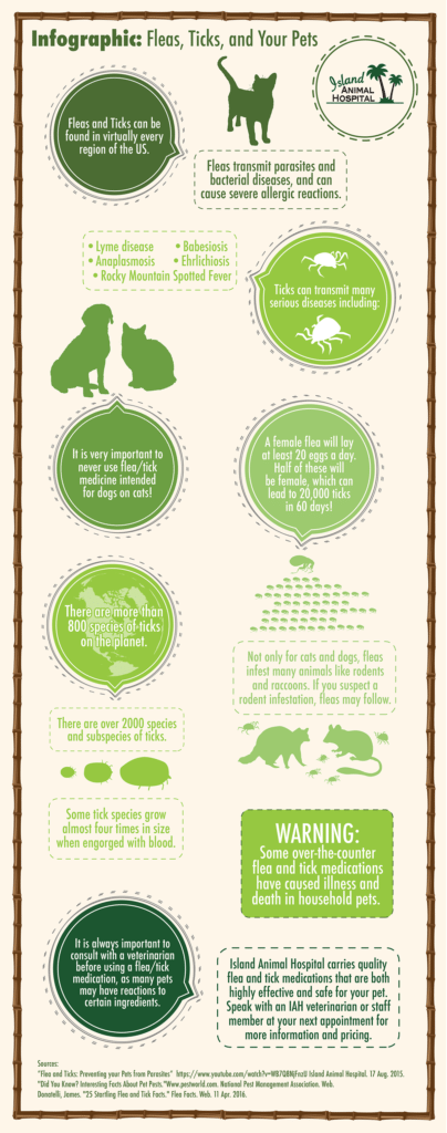 Infographic: Fleas, Ticks, and Your Pets | Island Animal Hospital